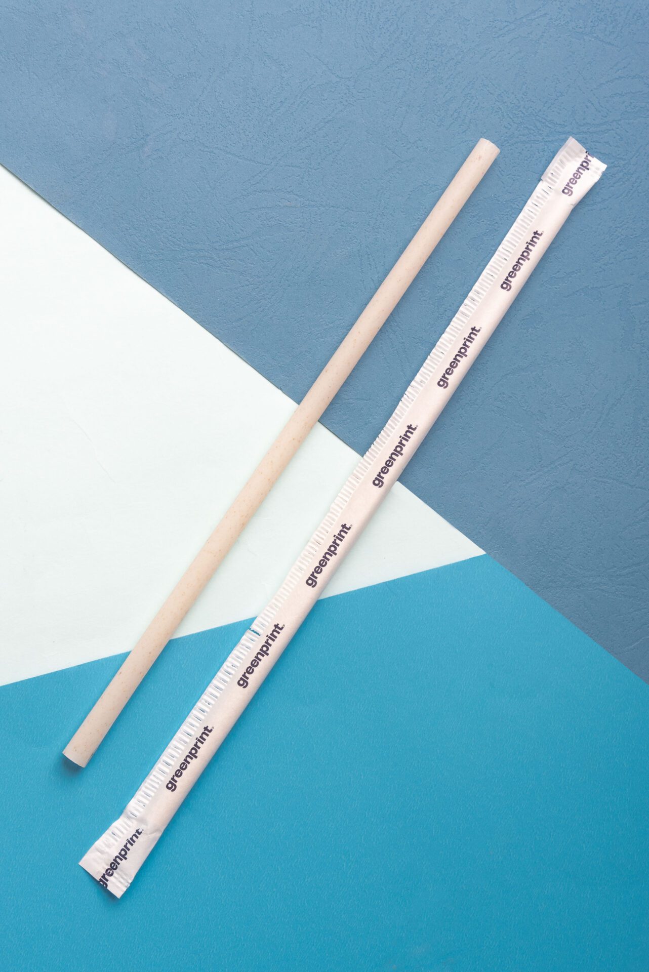 Compostable Agave Straws - 2,000 Count | Greenprint