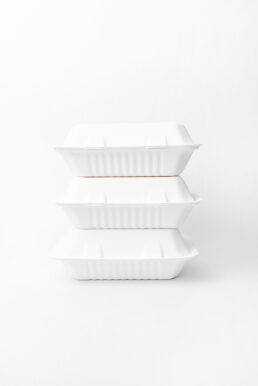 9 x 6 Compostable Hoagie Clamshell | Greenprint
