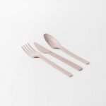 Upcycled Agave Cutlery Pack | Greenprint