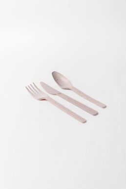 Upcycled Agave Cutlery Pack | Greenprint