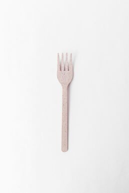 Upcycled Agave Forks | Greenprint