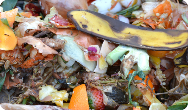 Compostable vs. Recyclable vs. Biodegradable (Infographic)