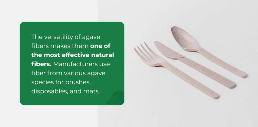 What is Agave Fiber? Benefits & Uses | greenprint