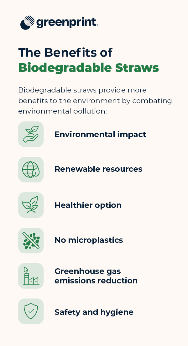 The Different Types of Biodegradable Straws | greenprint